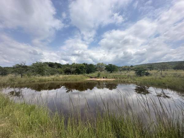 Wildsplaas met sy wild by Vaalwater onder die hamer | Landbou