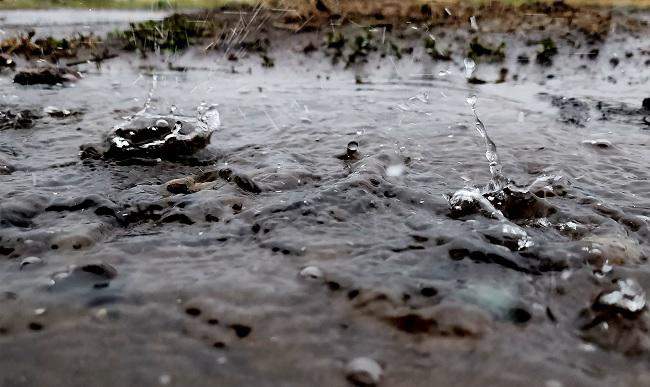 El Niño kan ‘skaakmat-situasie’ veroorsaak midde BKS-krisis | Landbou