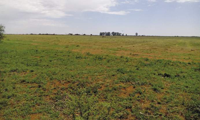Plaasbestuur vs. natuurbestuur: Is die onderskeid nog nodig? | Landbou