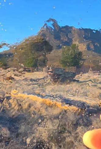 Eerste ses weke van winter bring goeie koue-eenhede | Landbou