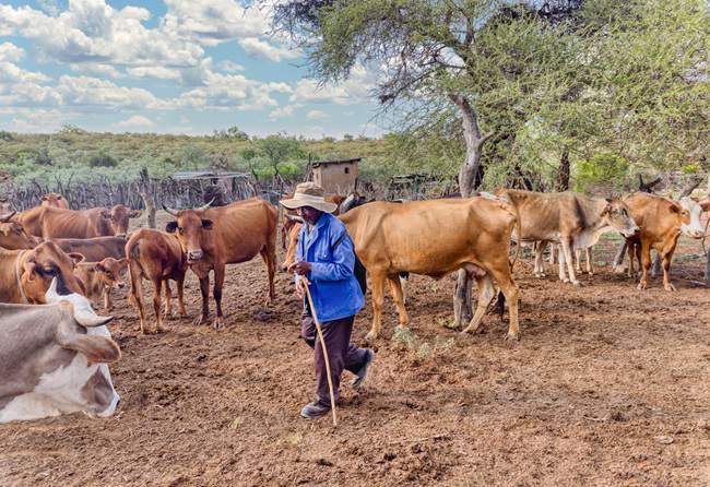 BKS | ‘Kleinboere moet onmoontlike keuse maak’ – Kwanalu | Landbou