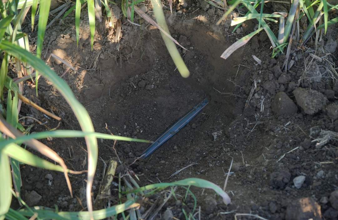 Besproei optimaal en bespaar water met deeglike grondkennis | Landbou