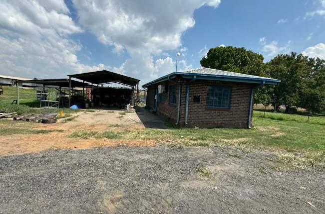 Uitstekende geleentheid vir pluimveeboere | Landbou