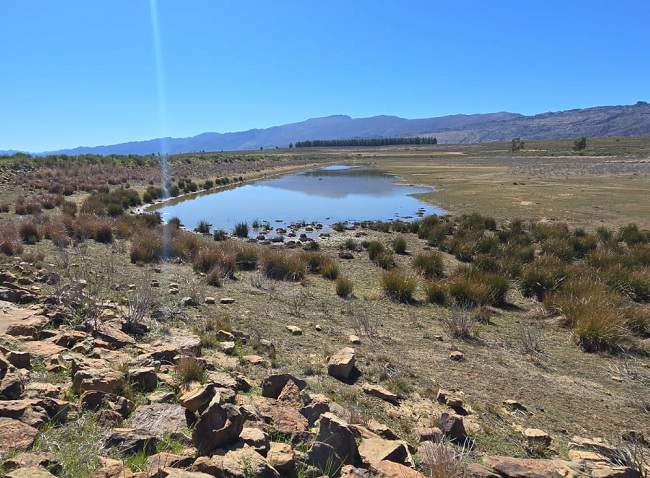 Suid-Kaap smag na reën: Is dit begin van nuwe droogtesiklus? | Landbou