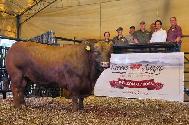 Rekordprys vir Angus-bul maak opslae | Landbou