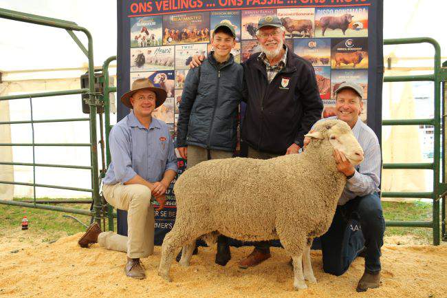 Van Pletzen Beefmasters en Merino’s wys hul staal in Jamestown | Landbou