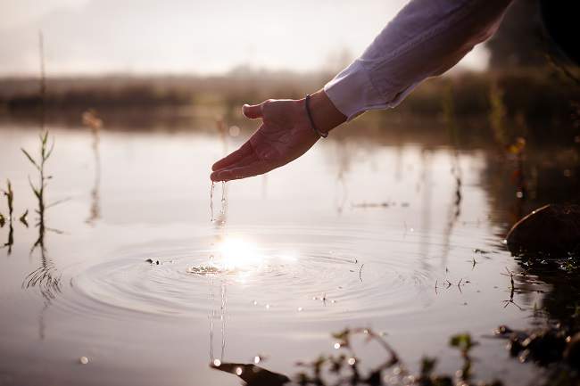 Nederburg bespaar 45 000 kumek met waterstelsel | Landbou