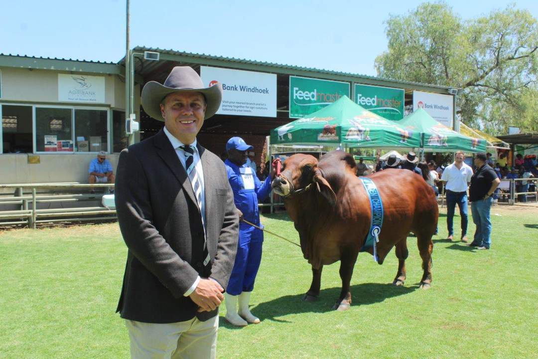 PJ Budler beoordeel 350 beeste | Landbou