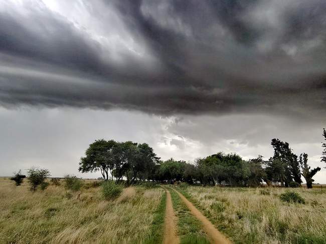 Van hittegolftoestande tot sneeu: Vier seisoene in een week . . . | Landbou
