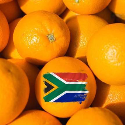 Insimbi Ridge/Durban-hawe: Landbou-uitvoerders brei uit oor logistiek ...