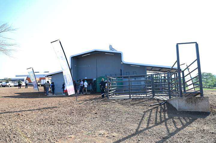 Moord op rooivleis-entrepreneur stuur skokgolwe deur KZN | Landbou