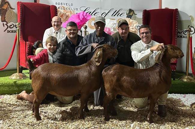 Boerbok blom op Sale of the Roses | Landbou