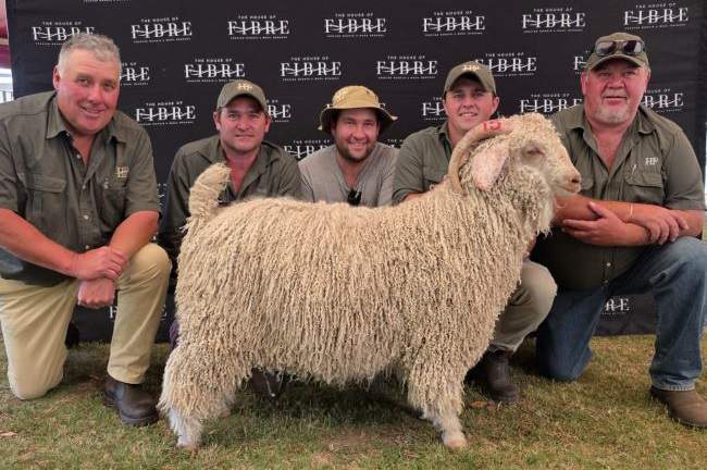 Angora-ramveiling op Somerset-Oos bewys nuwe momentum | Landbou