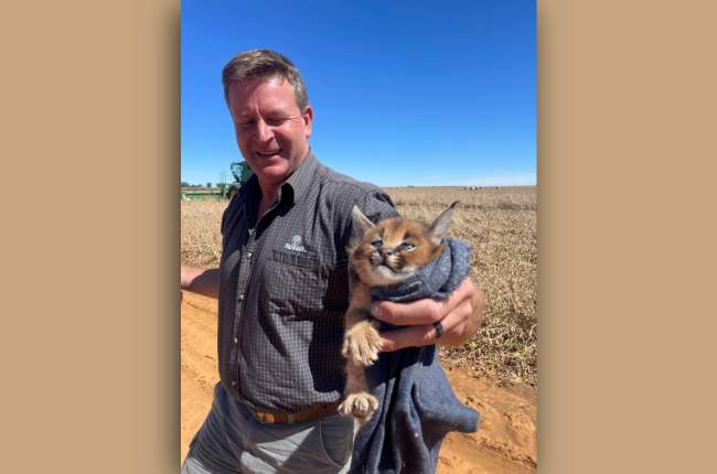 Landerye vol lewe wys die natuur werk én help met plaagbeheer | Landbou