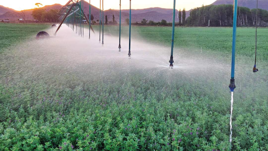 Waterregte 3: Landbou moet water strategies bestuur | Landbou