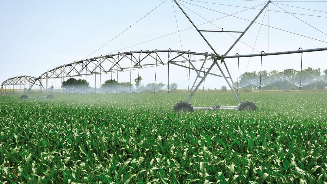 Water: Wetswysiging kan plase ‘onkoopbaar’ maak | Landbou