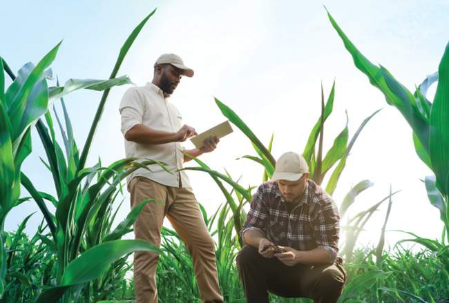 Kies ’n doelgerigte vennoot en groei jou boerdery met selfvertroue ...