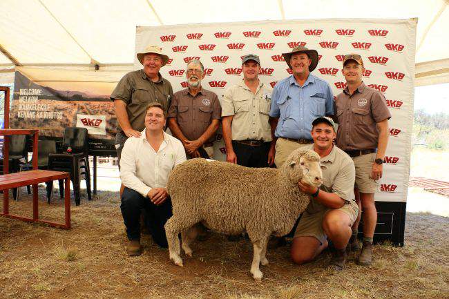 R42 000 vir Merino-ram van Kesieberg | Landbou