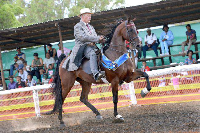 Victoria-Wes-skou vier 95ste bestaansjaar | Landbou