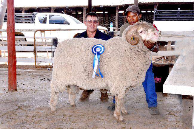 Victoria-Wes-skou vier 95ste bestaansjaar | Landbou