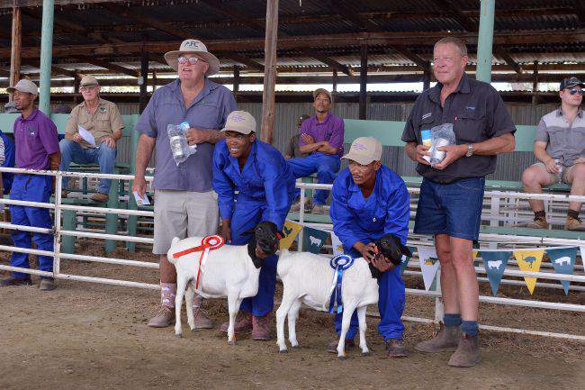 Victoria-Wes-skou vier 95ste bestaansjaar | Landbou