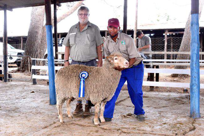 Victoria-Wes-skou vier 95ste bestaansjaar | Landbou