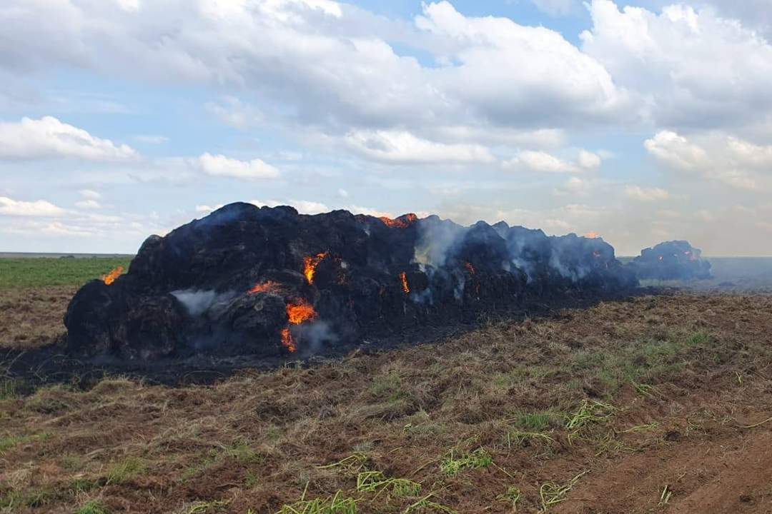Plaasaanval was glo ‘woedekonfrontasie’ | Landbou