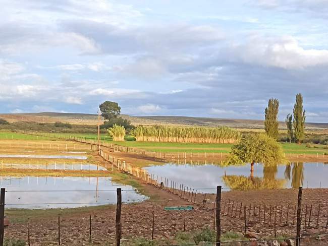 ‘Genadewater’ bring vreugde vir Karoo; hoop waar dit nog bitter droog ...