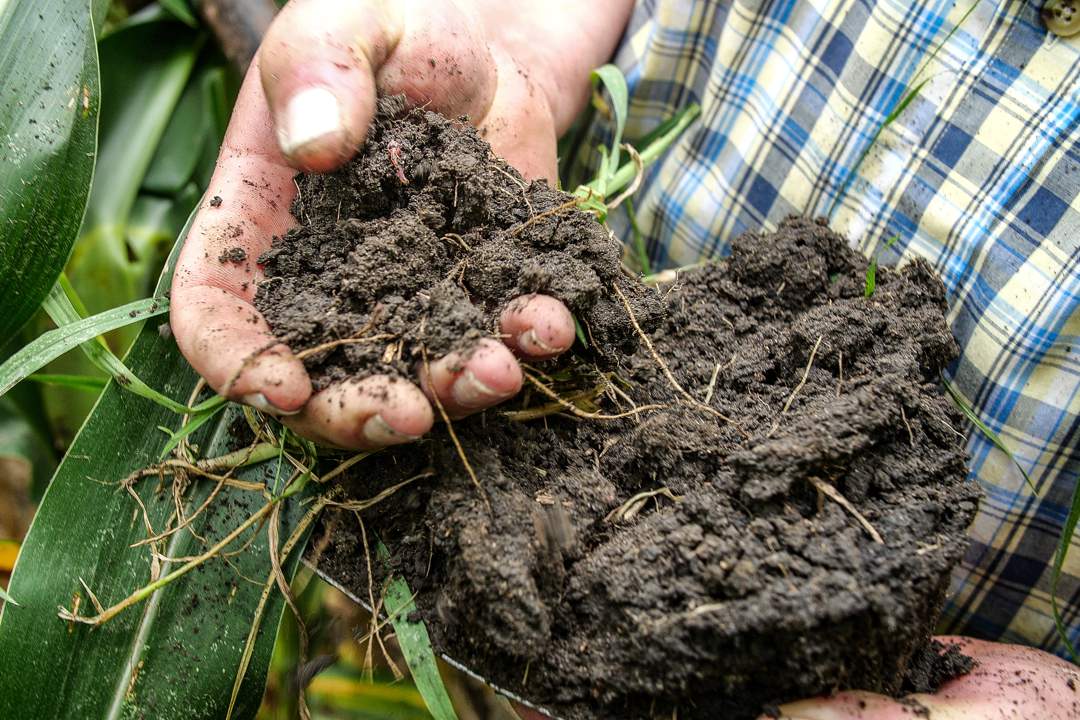Van plaas tot verbruiker: Krag van deursigtige kommunikasie | Landbou