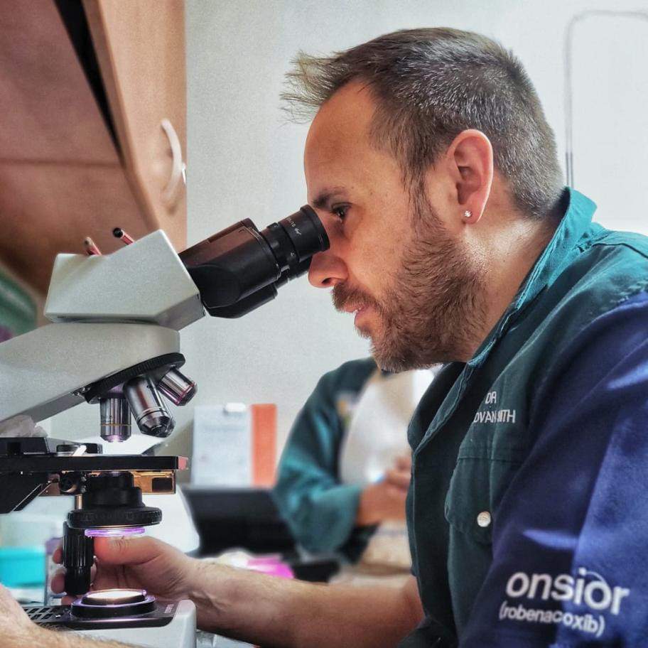 Gesonde kos ‘te danke aan veeartse’ | Landbou