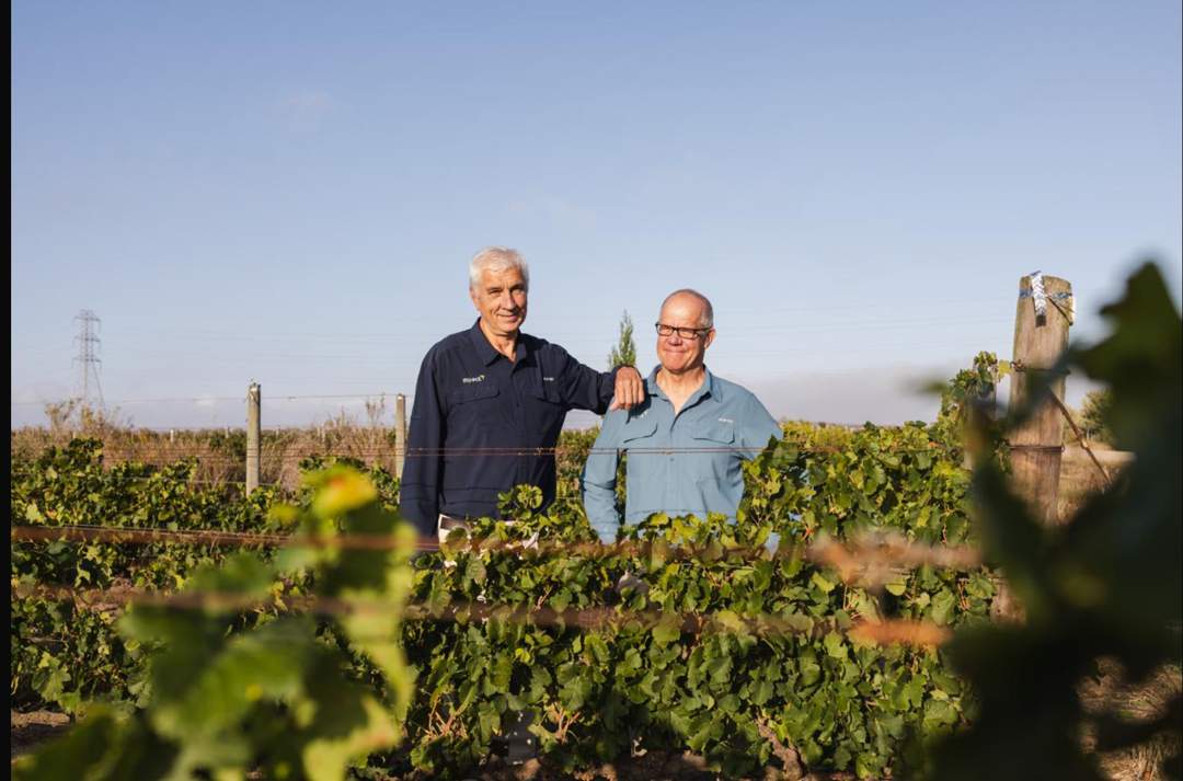 Plaaspraatjies: Rugbyspelers gesels met boere oor vasbyt, groei en die ...