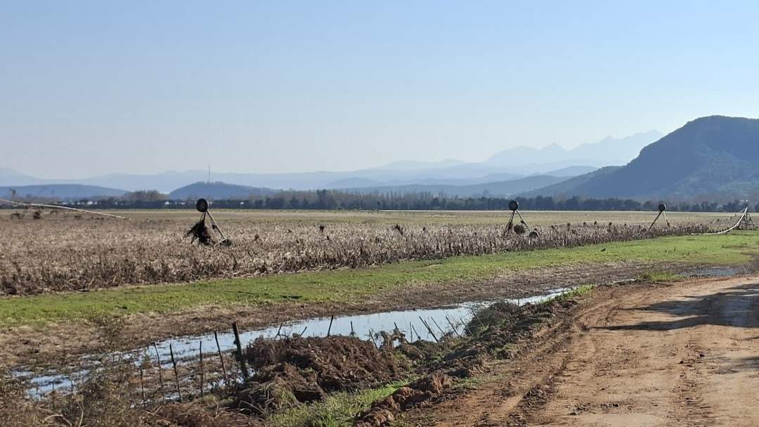 ‘Help ons met paaie en om werkgeleenthede te behou,’ vra Gamtoos se ...