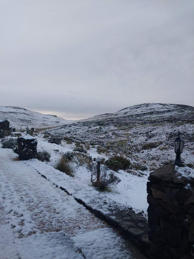 Gereelde ‘pedi’s’ red melkbeeste in sopnat Suid-Kaap | Landbou